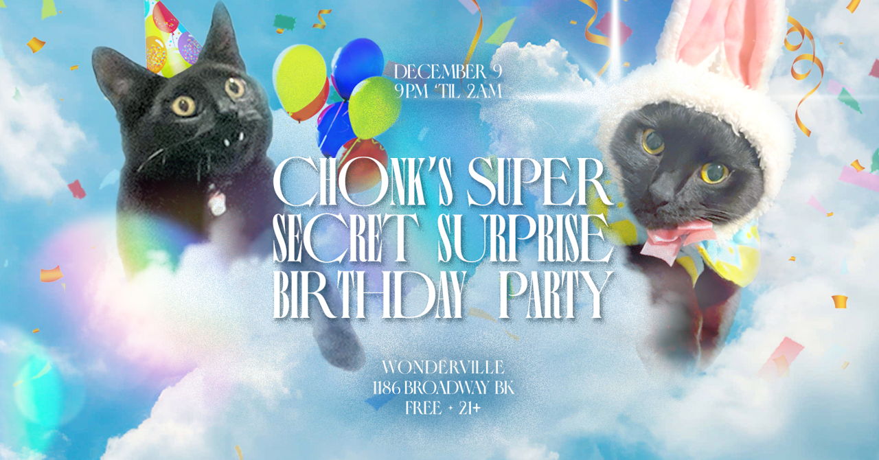Chonk's Super Secret Surprise Birthday Party withfriends