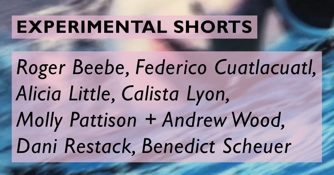 Virtual Microcinema: Experimental Shorts by Roger Beebe, Federico ...